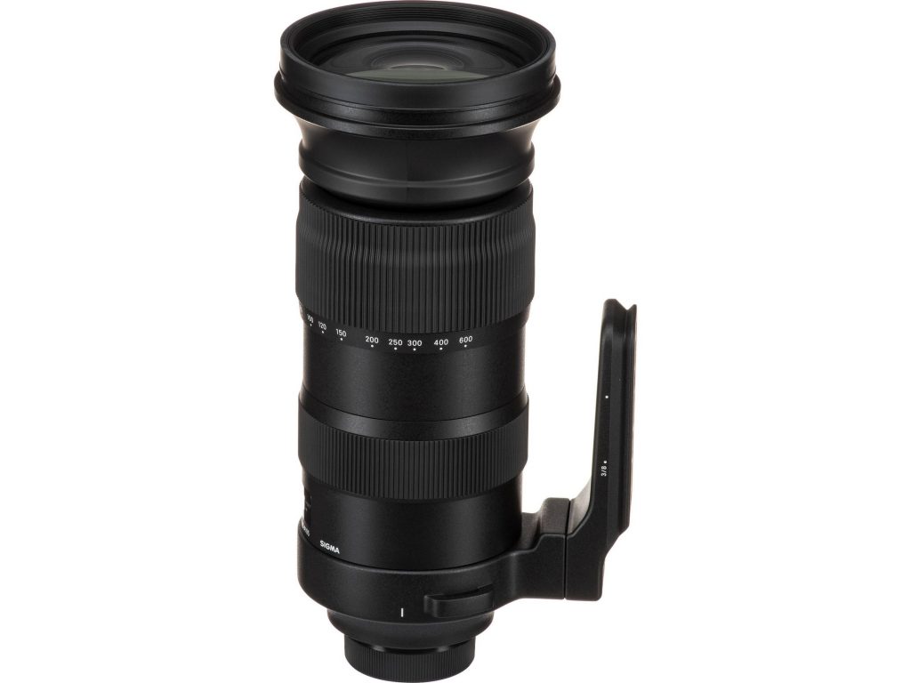 Обзор Sigma 60-600mm 1:4.5-6.3 DG S (Sport, OS) | Радожива